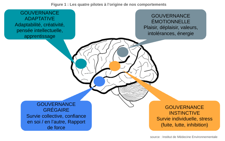 Intelligence relationnelle et management inclusif - LES BIAIS DANS LE PLAT